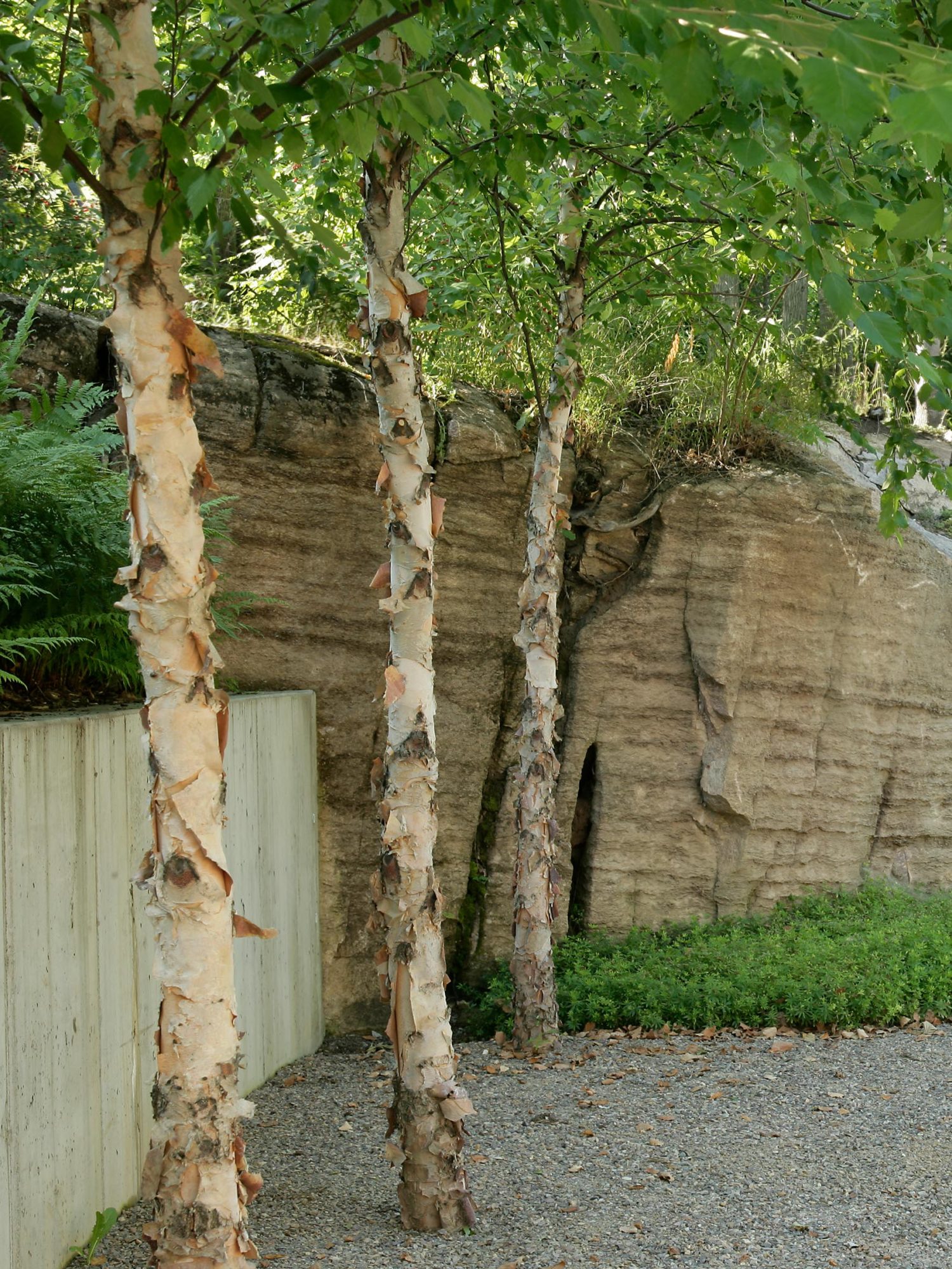 Red Rocks Residence - Wagner Hodgson Landscape Architecture