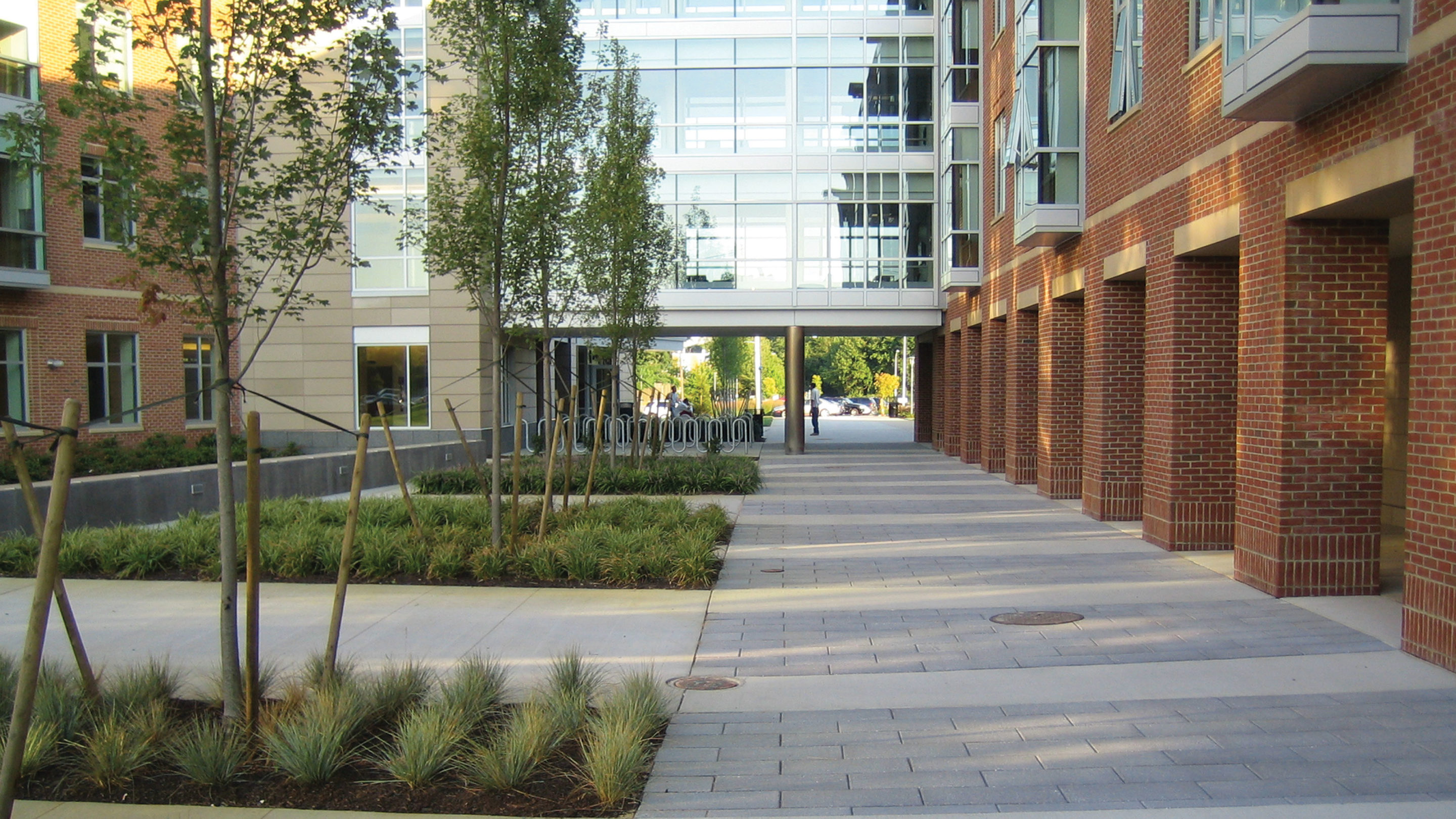 Bridgewater State University, Crimson Hall - Wagner Hodgson Landscape ...