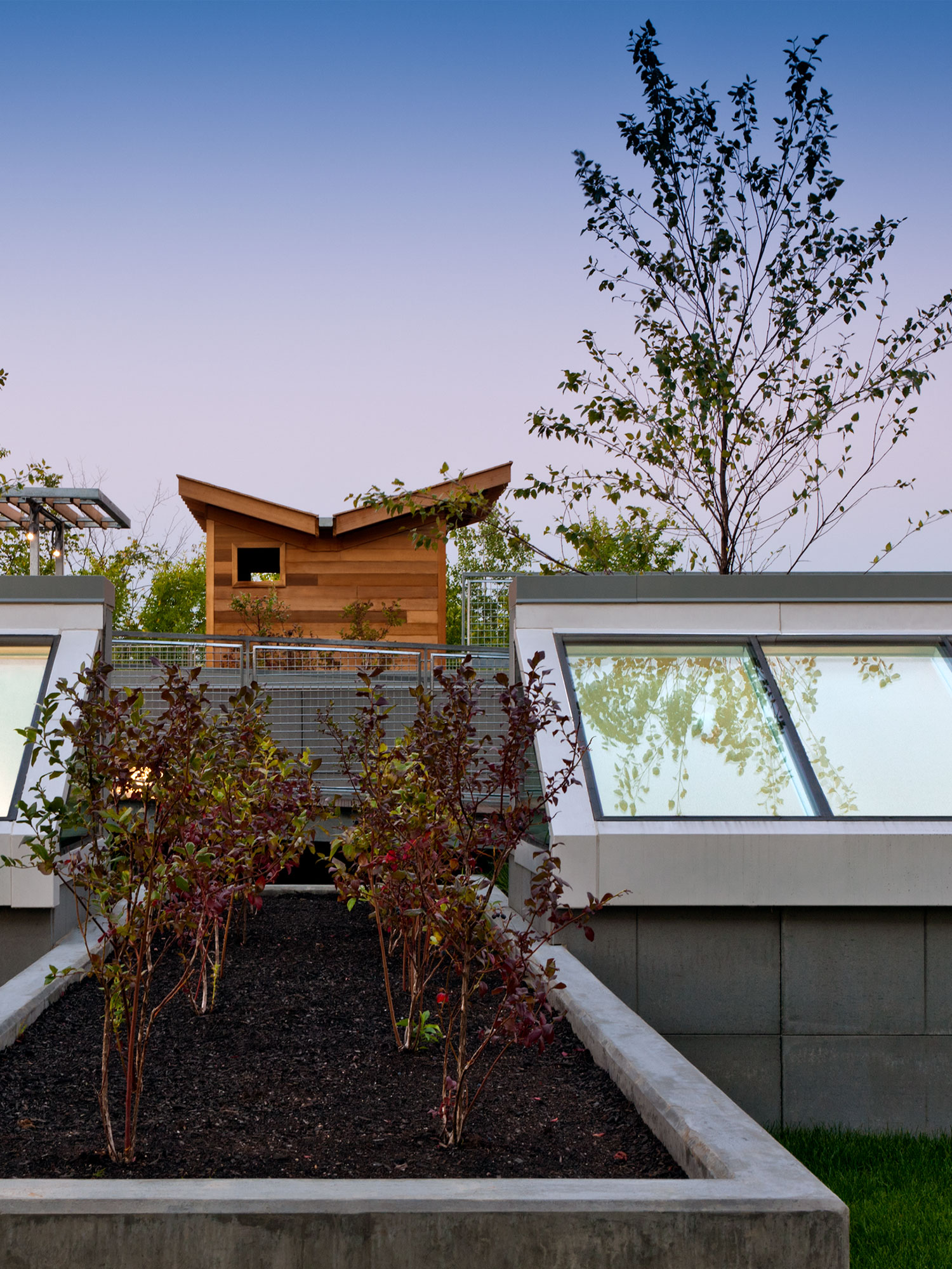 UVM Medical Center oncology green roof - Wagner Hodgson Landscape ...