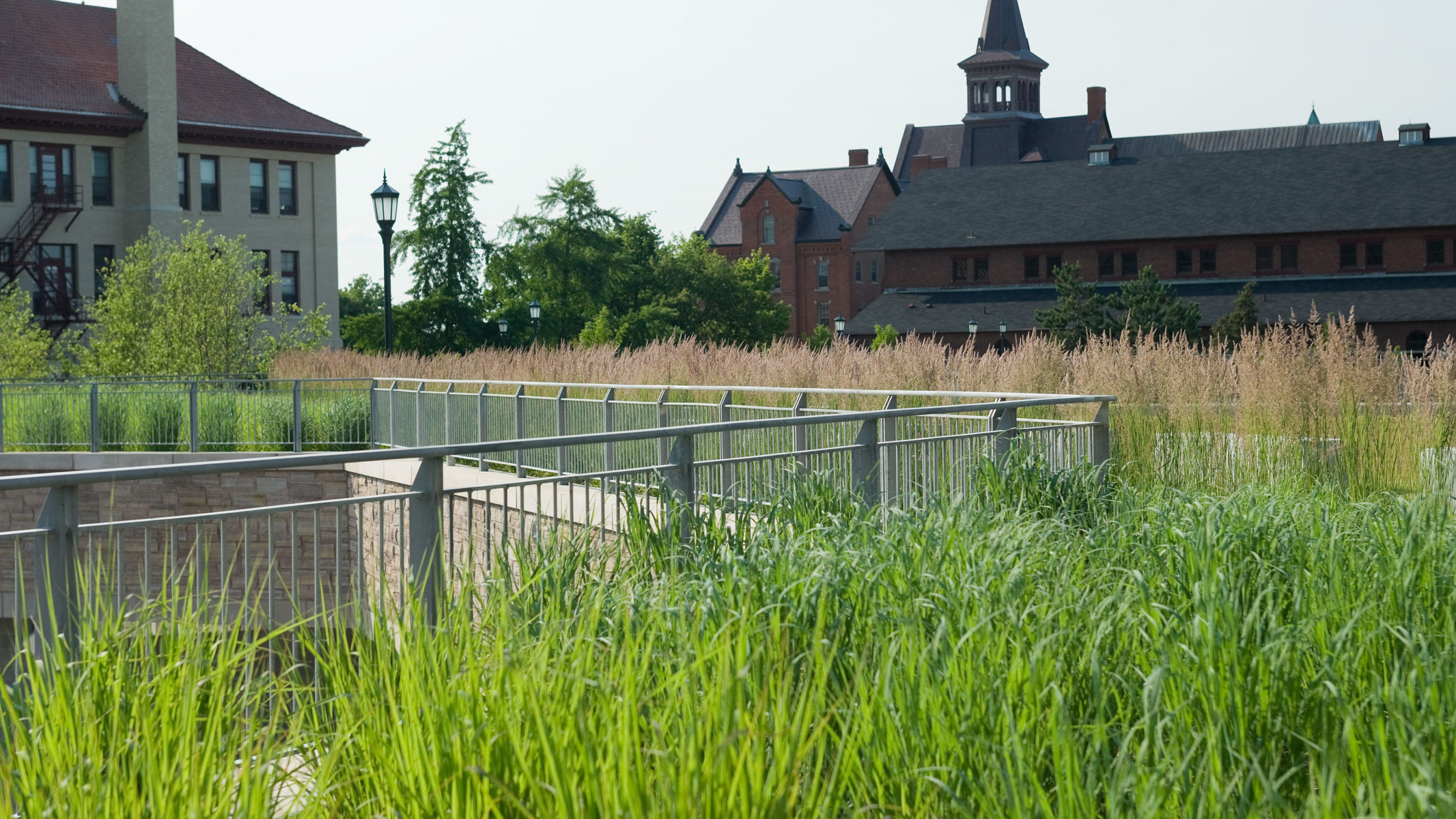 University of vermont, dudley h. davis center - Wagner Hodgson ...